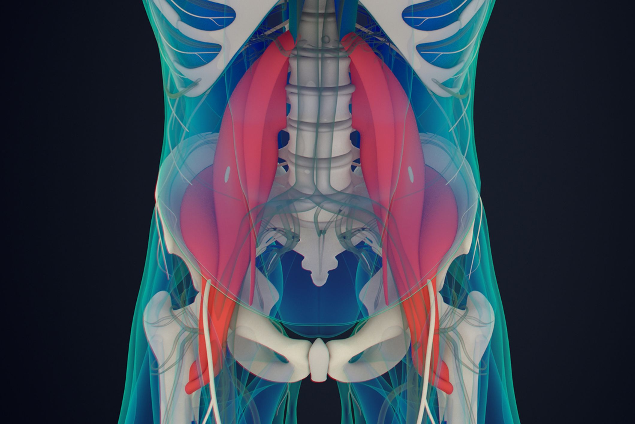 Psoas Release: Is It for You? - Wellness Letter