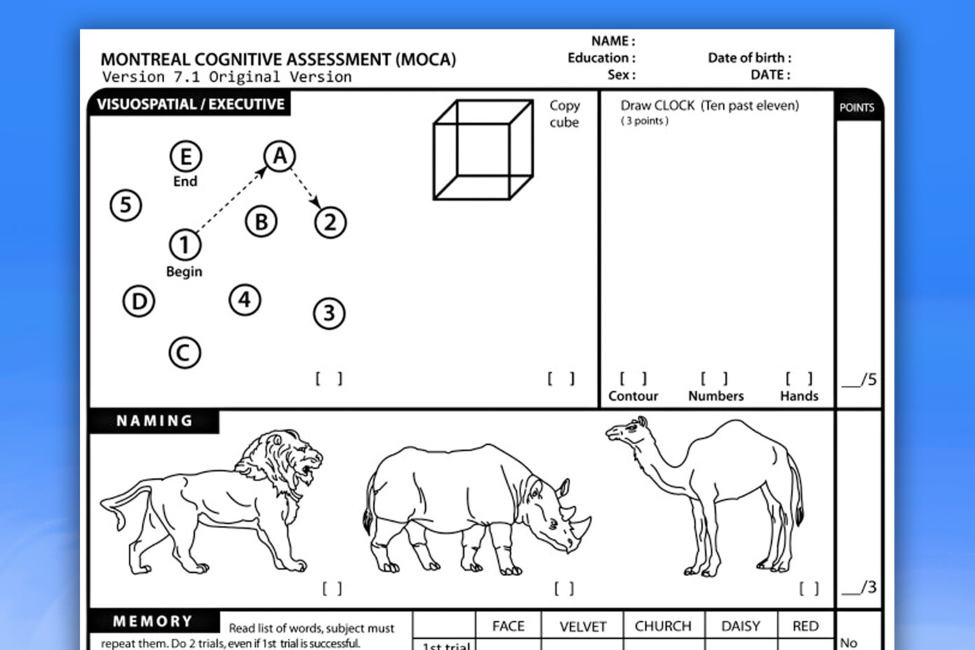 The Art of Taking a Cognitive Test - Wellness Letter